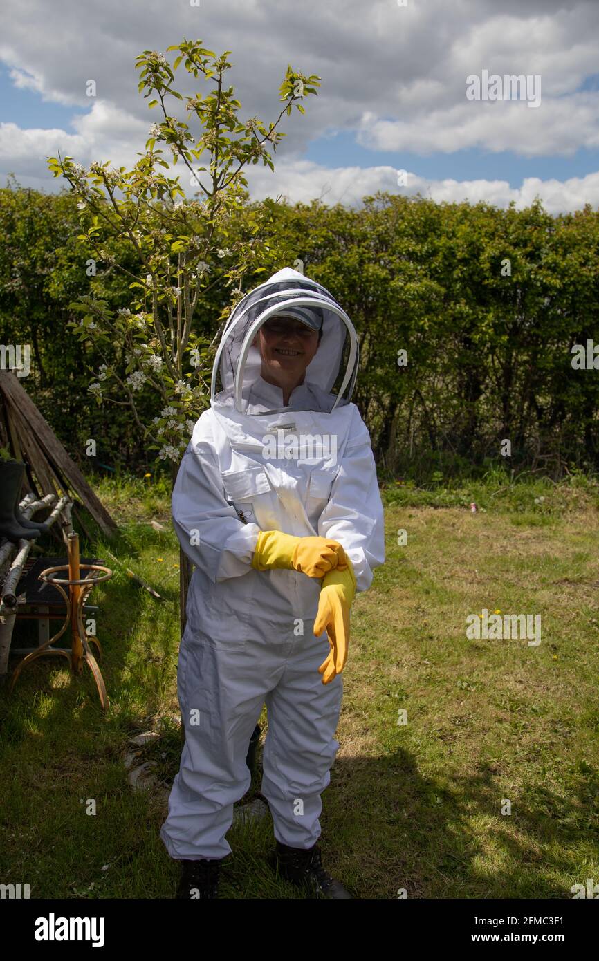 Female beekeeper working at a British Standard National hive Stock ...