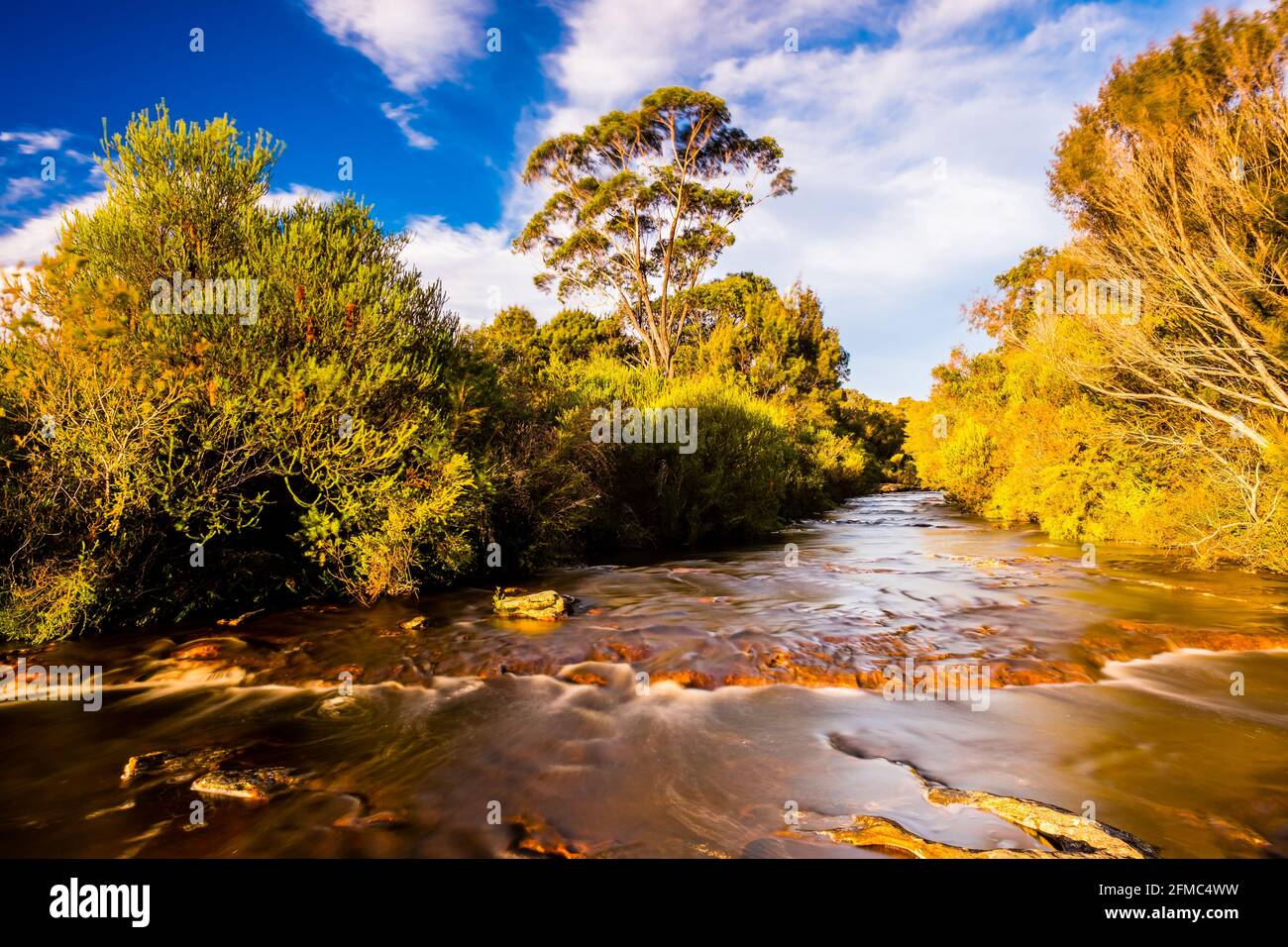 Dharawal national park hi-res stock photography and images - Alamy