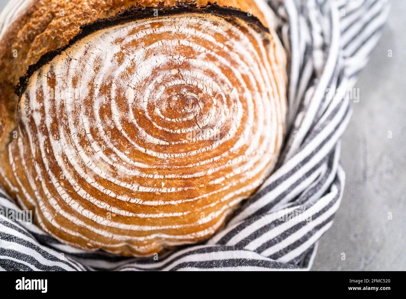 Freshly baked loaf of a wheat sourdough bread with marks from bread ...