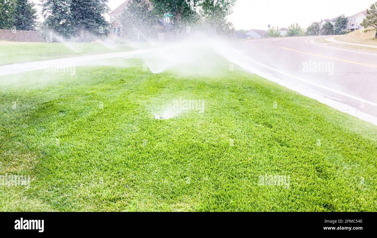 Irrigation of the green lawn with sprinkle system Stock Photo - Alamy