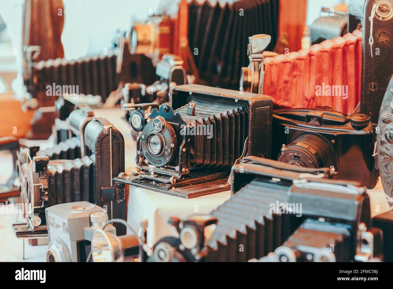 Old retro photo cameras on a vintage market showcase (vintage photo ...