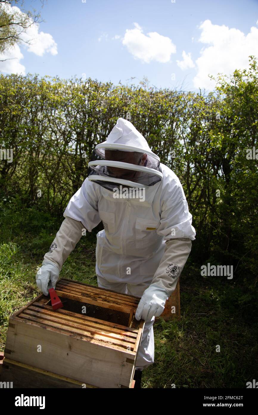 Removing the super hi-res stock photography and images - Alamy