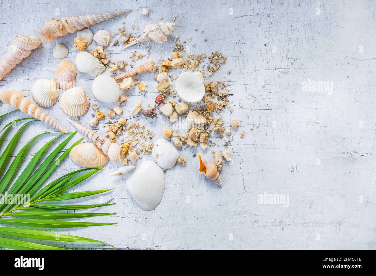 Seashells and sea concept Stock Photo - Alamy
