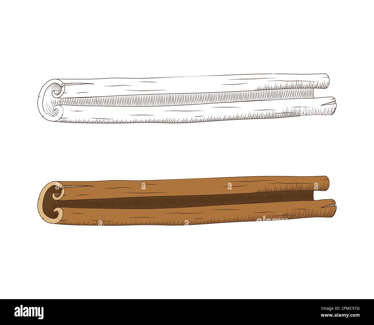 Hand Drawn Engraved style Cinnamon Sticks Vector Illustration Isolated ...