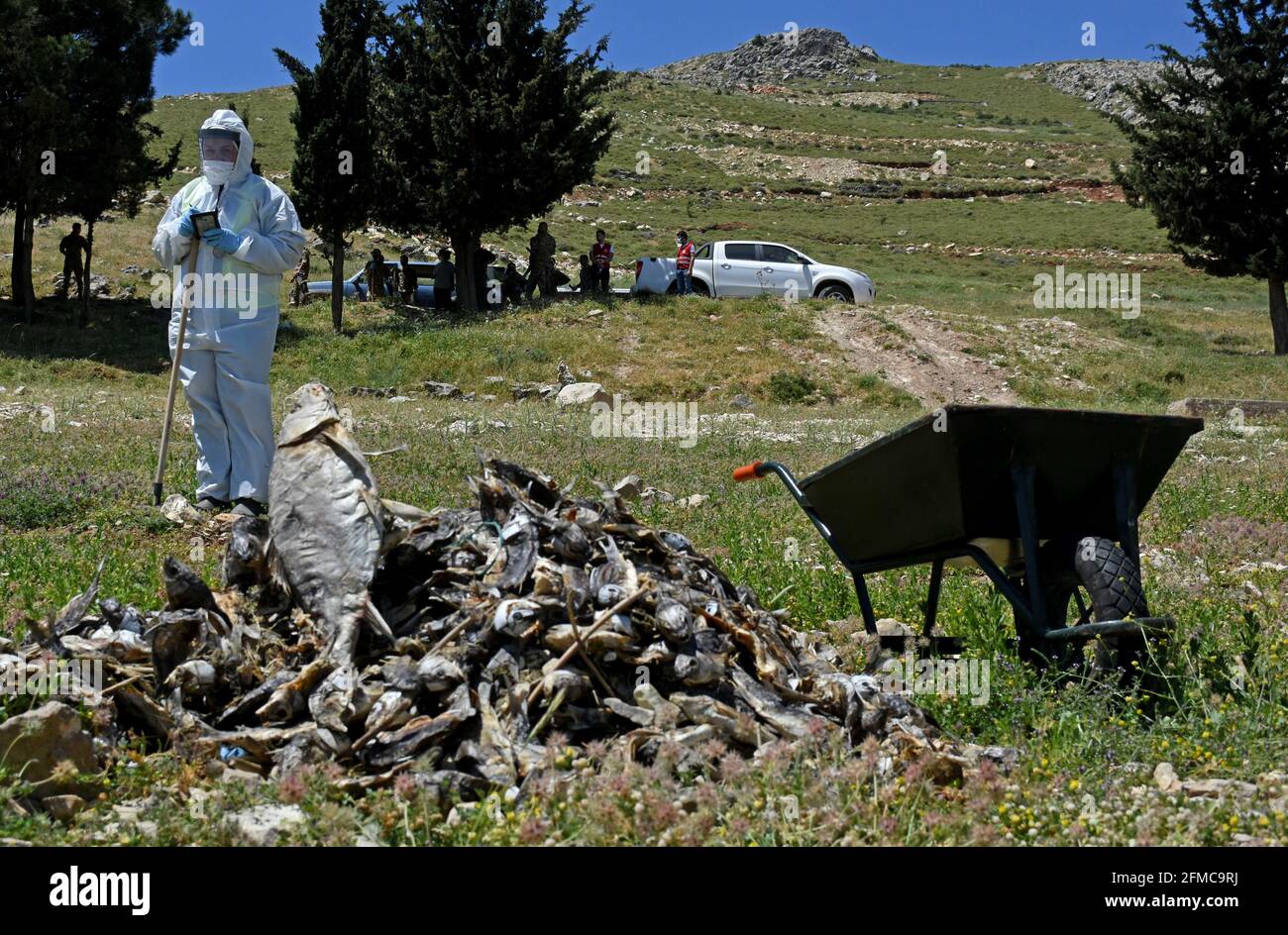 Beirut, Lebanon. 7th May, 2021. Dead fish are seen at the Qaraoun lake ...