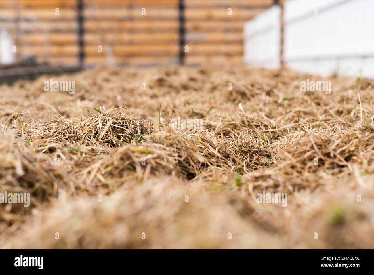 The technology of mulching the soil of the beds. Preventing the growth ...