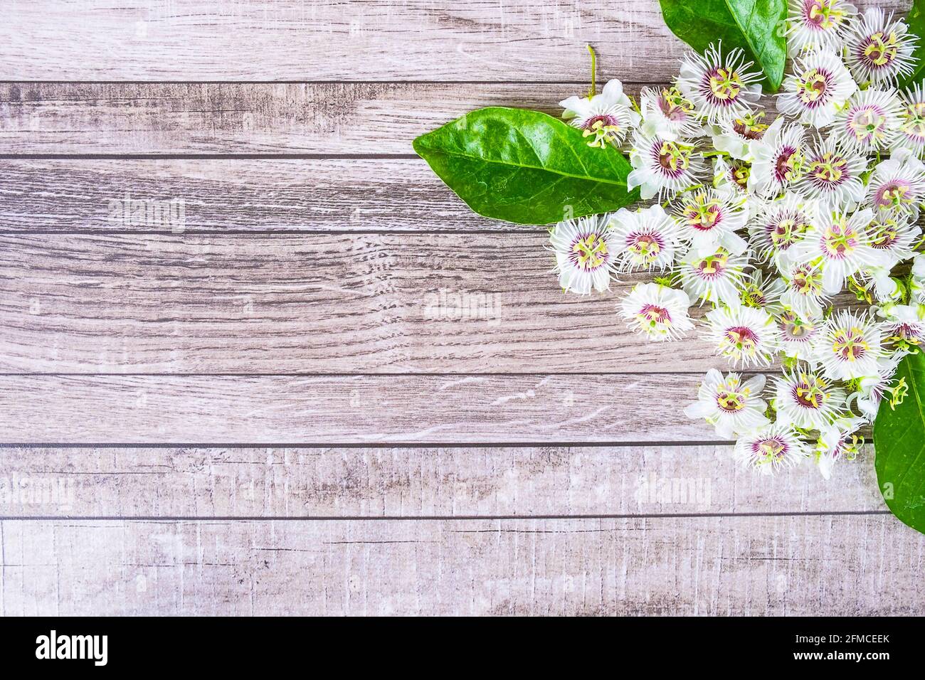 Wood background with flowers Stock Photo - Alamy