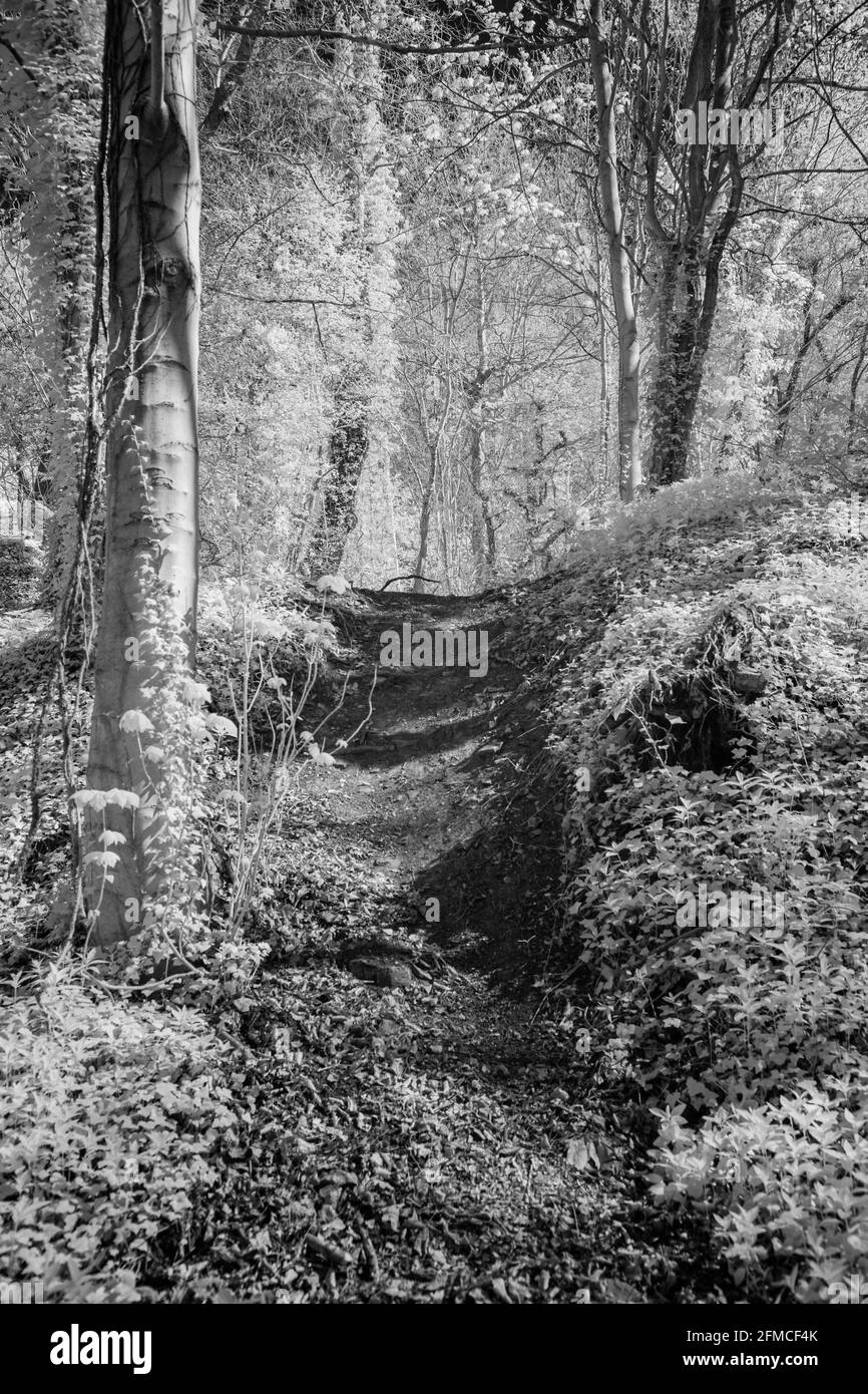 Going up hill hi-res stock photography and images - Alamy