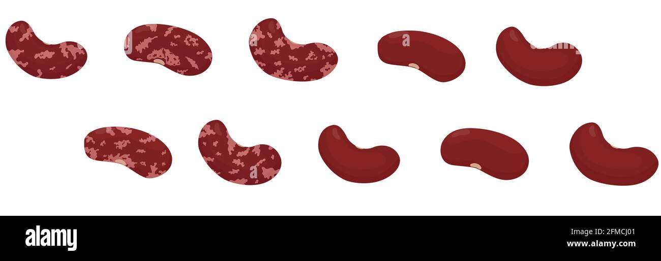 Spotted bean Stock Vector Images - Alamy