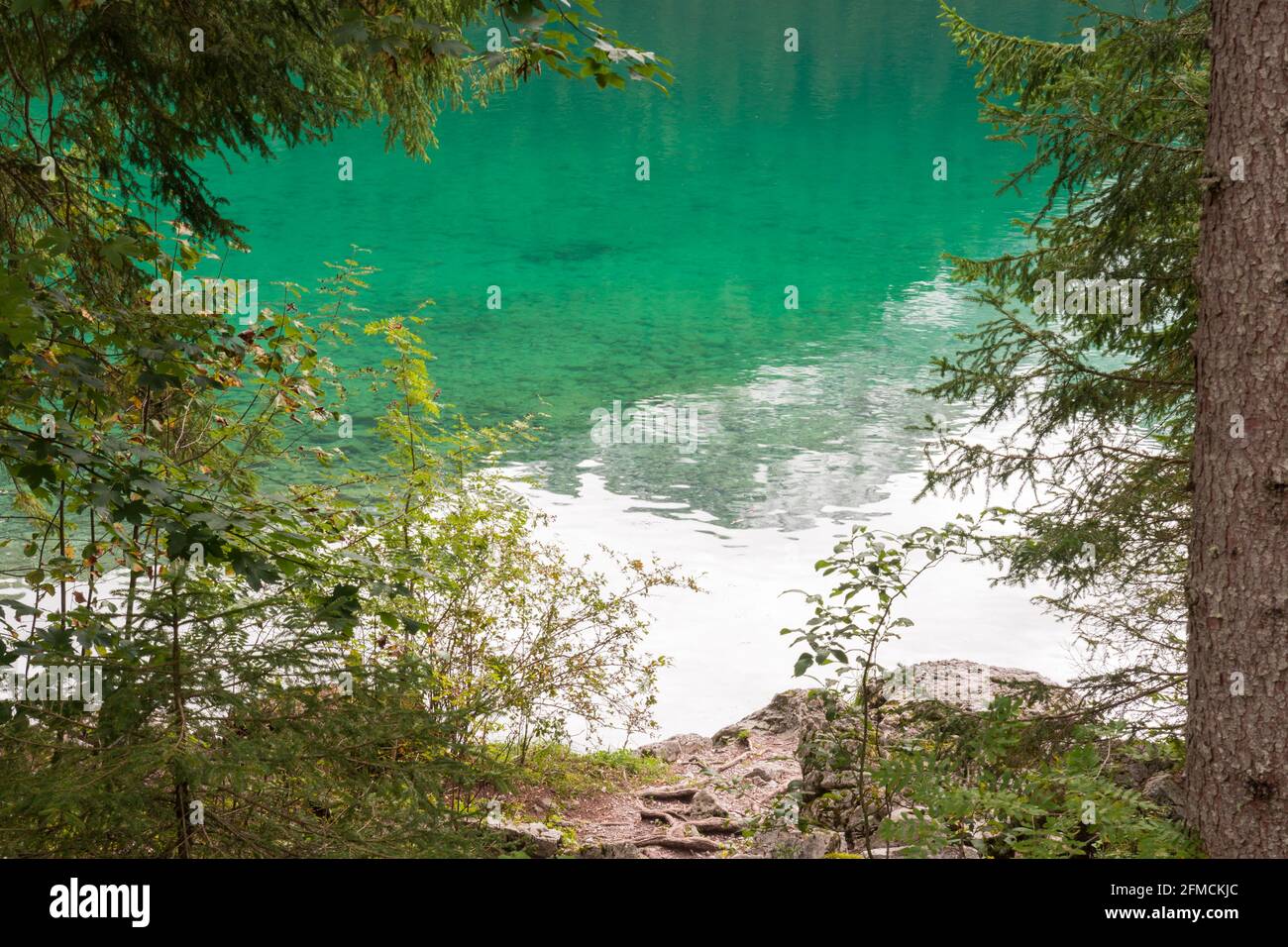 glimpses and details on Tovel Lake in Trentino Alto Adige in Italy ...