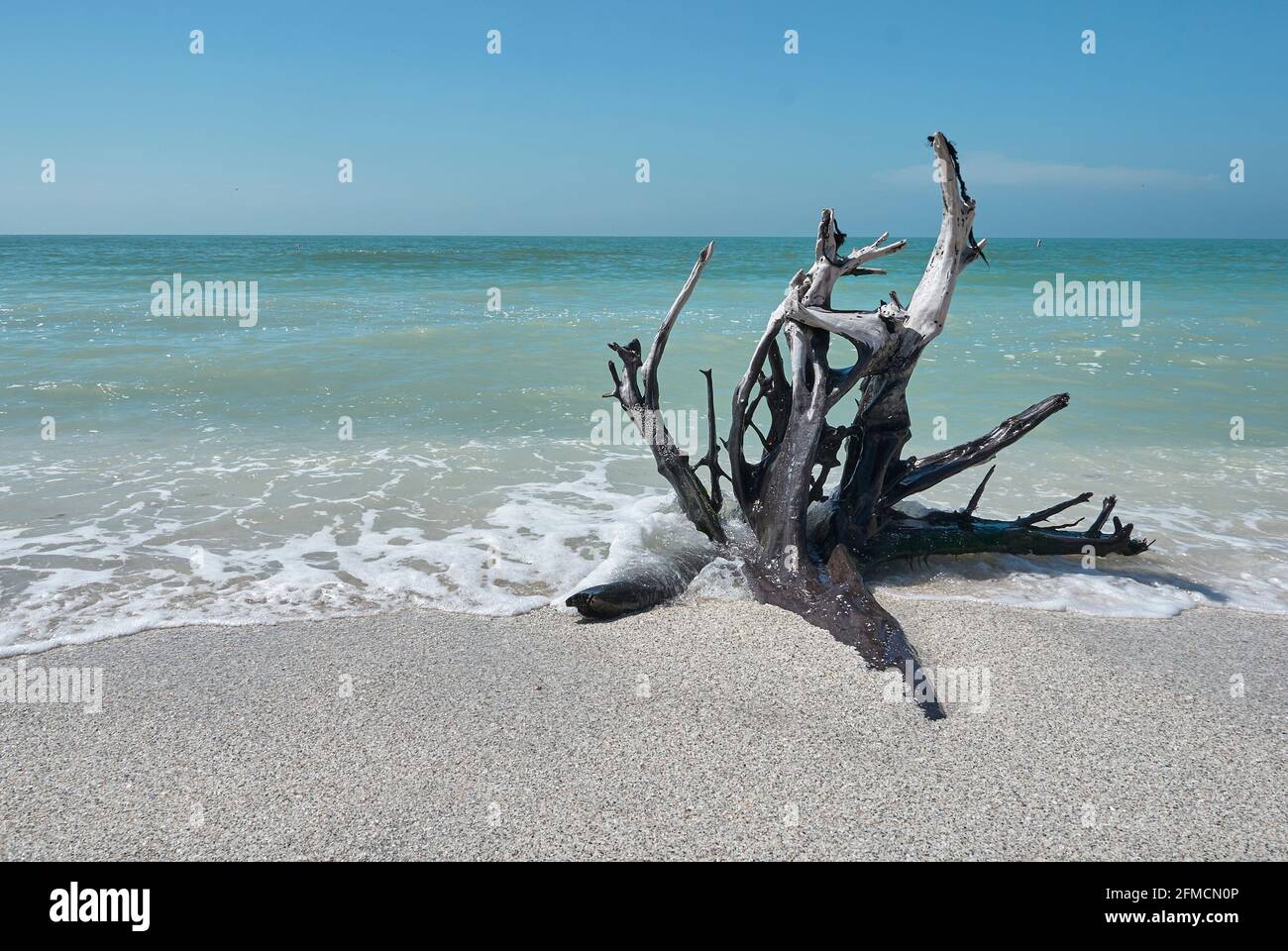 Flotsam And Jetsam High Resolution Stock Photography and Images - Alamy
