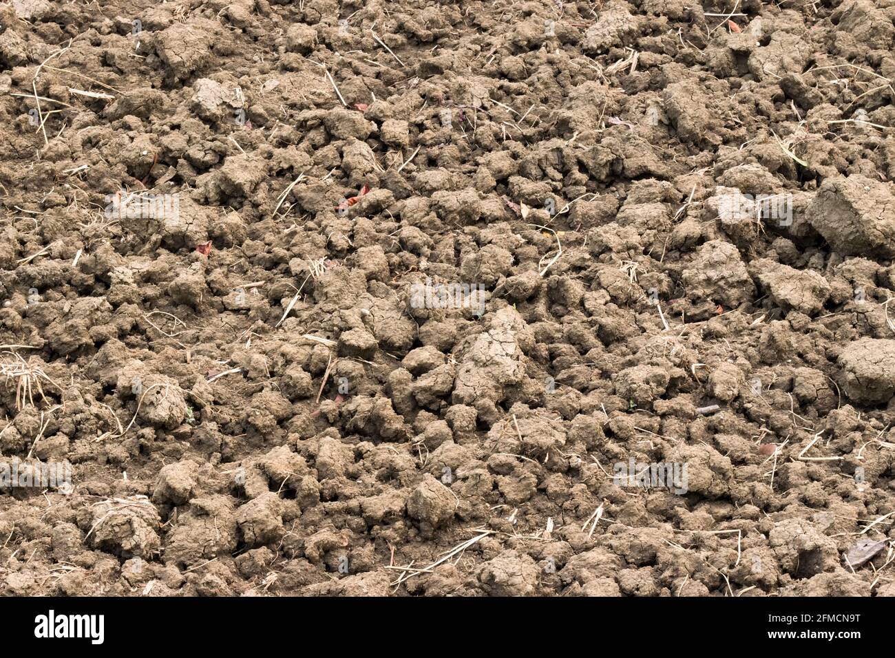 Earths evolution hi-res stock photography and images - Alamy