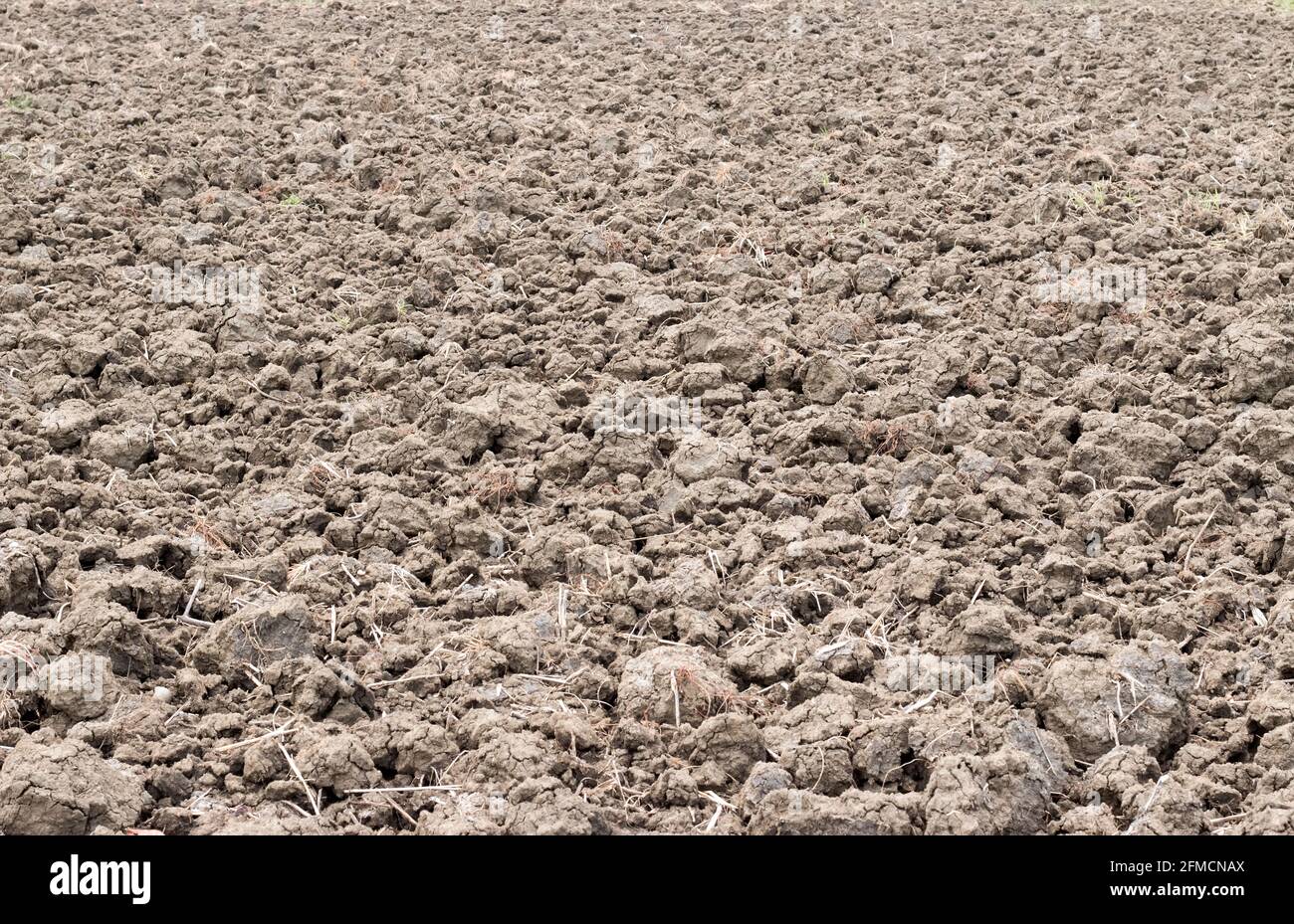 Soil is a soft, granular covering of the earth's surface Stock Photo ...