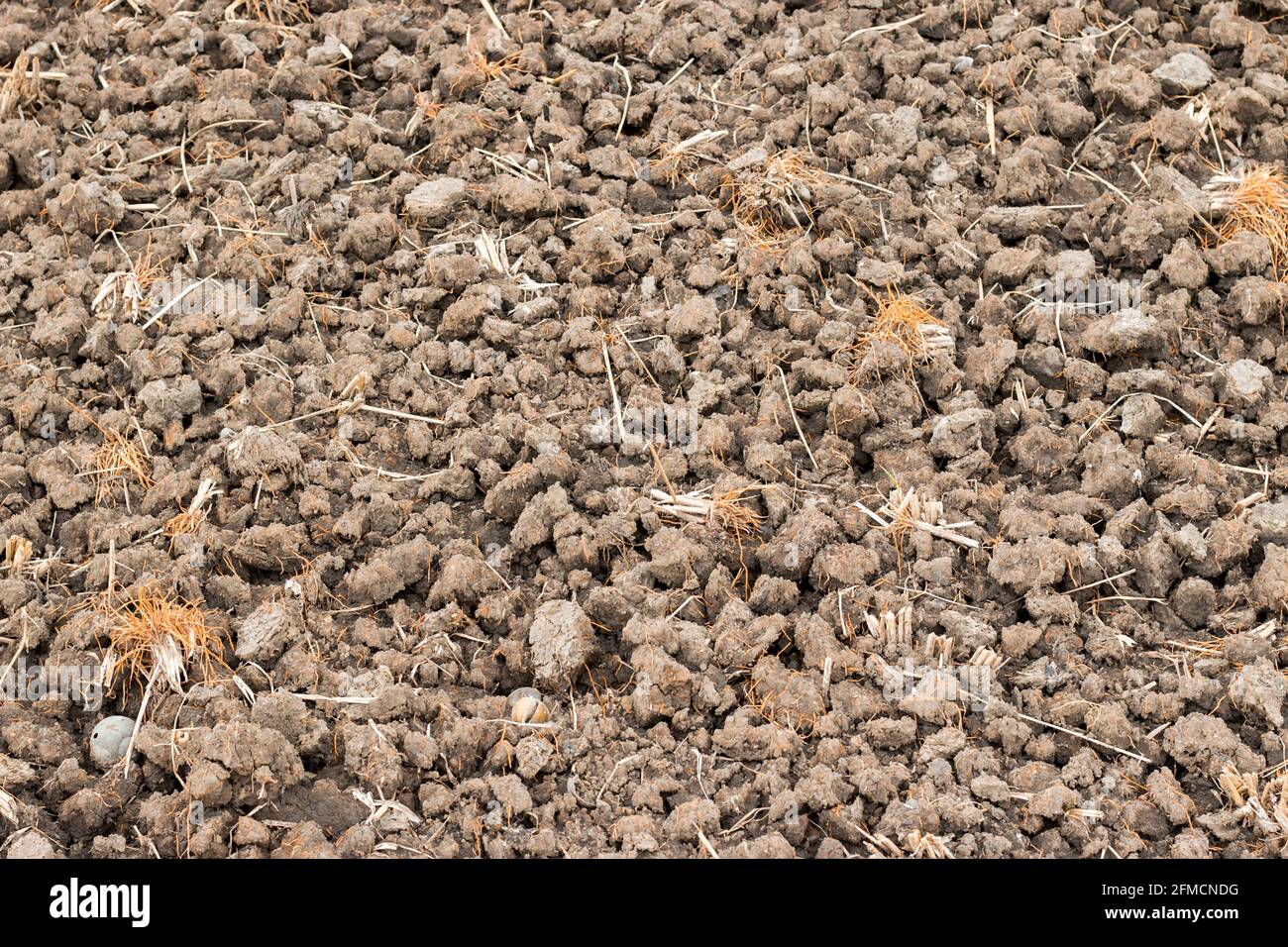 Soil is a soft, granular covering of the earth's surface Stock Photo ...