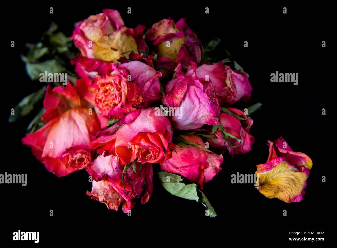 Pink roses in white china vase hi-res stock photography and images - Alamy