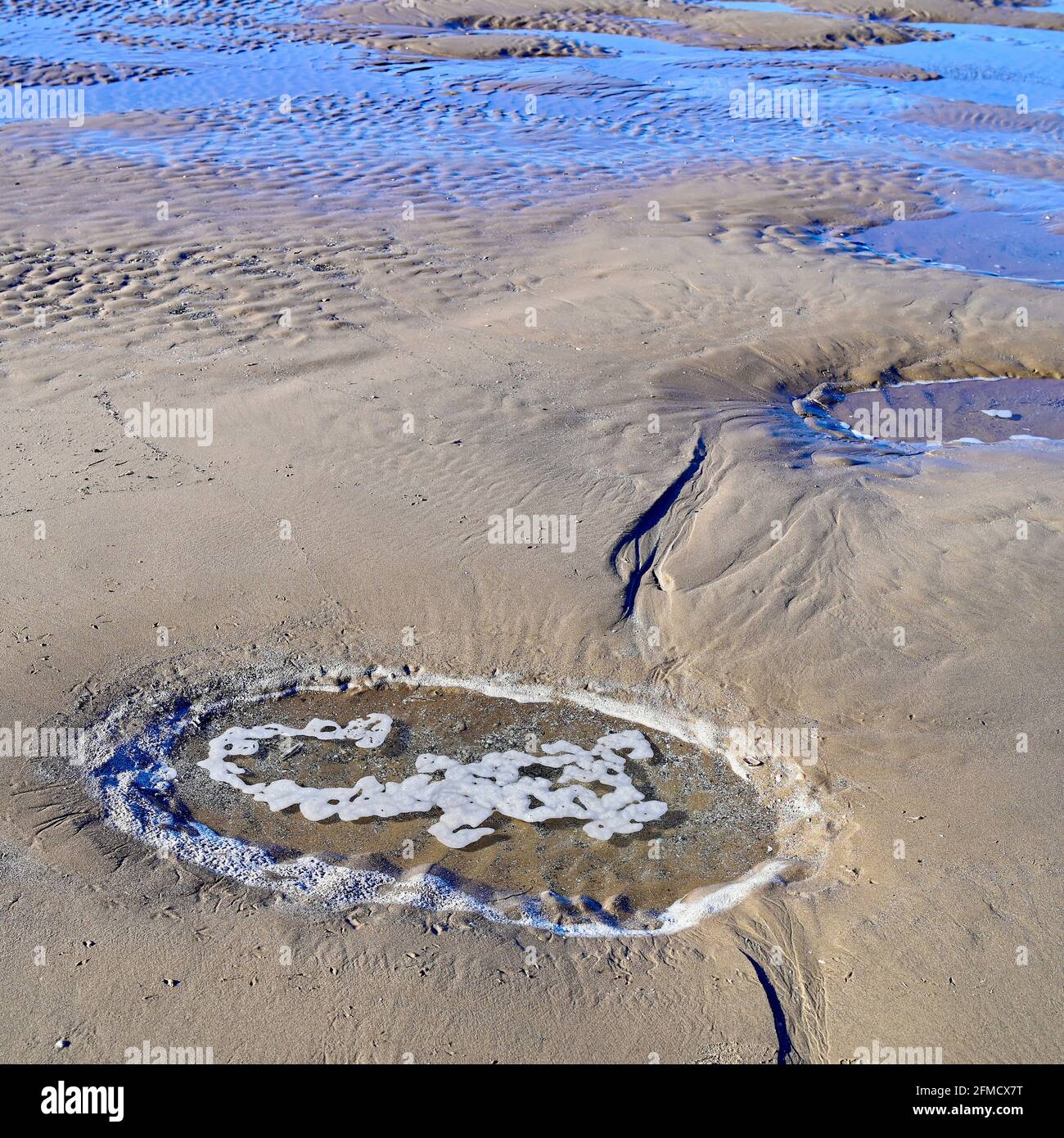 Scorpion Beach High Resolution Stock Photography and Images - Alamy