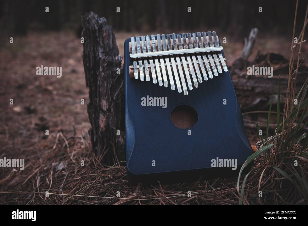 Kalimba is an African musical instrument in forest near tree Stock ...