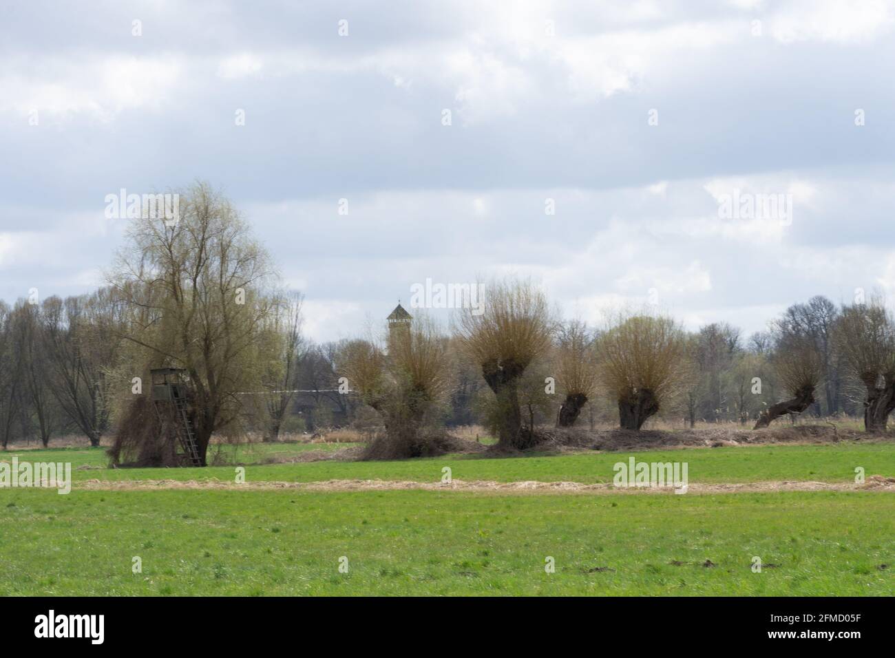 Large bright green field during daylight Stock Photo - Alamy