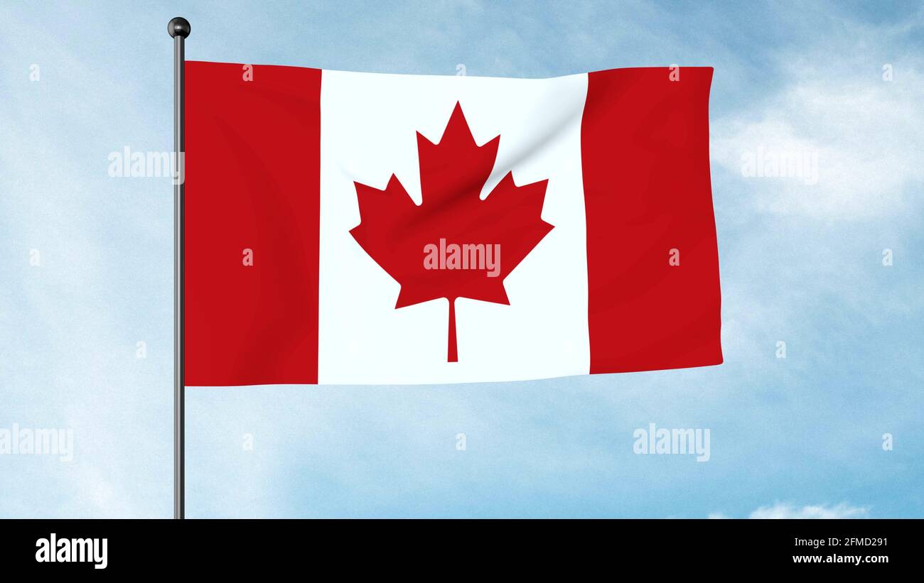 3D Illustration The National Flag of Canada, the Canadian flag, the ...