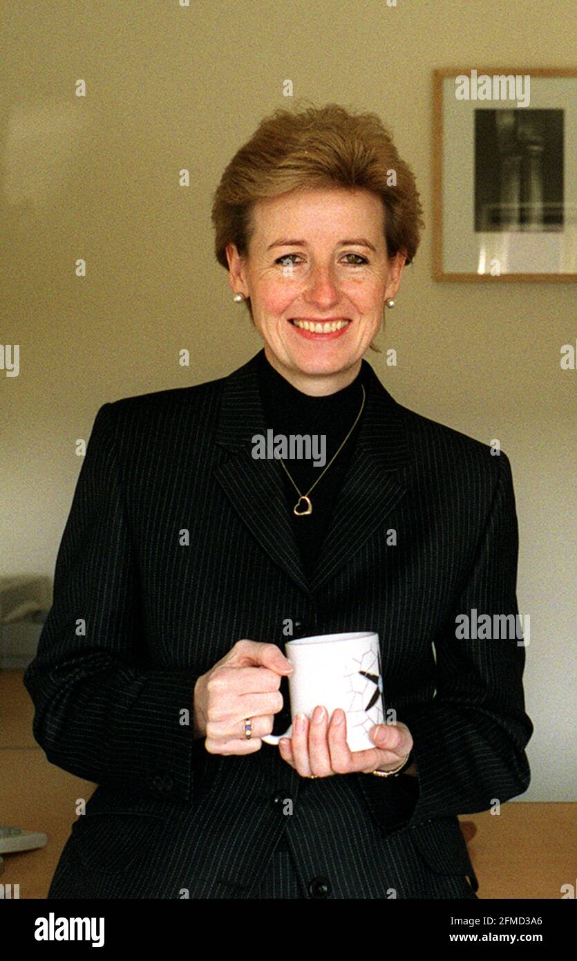 ROBYN JONES IN HER OFFICE BUDGET CASE STUDY Stock Photo - Alamy