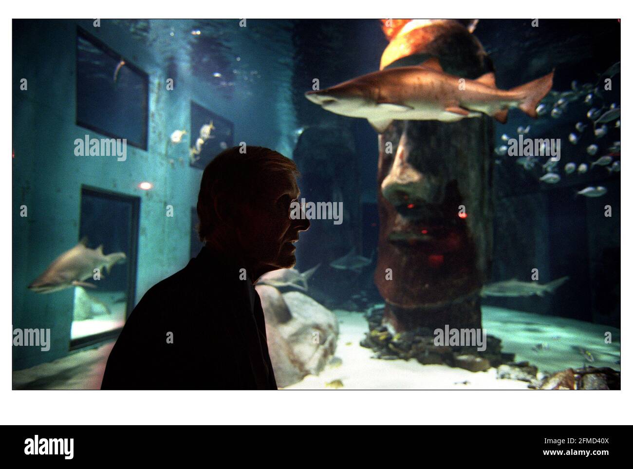 Outside aquarium Cut Out Stock Images & Pictures - Alamy