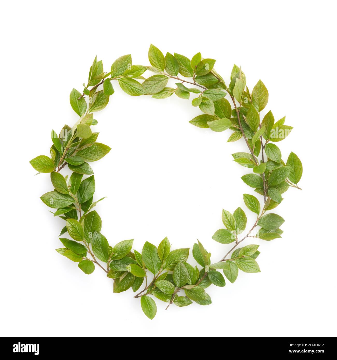 Green leaves frame isolated on white background Stock Photo - Alamy