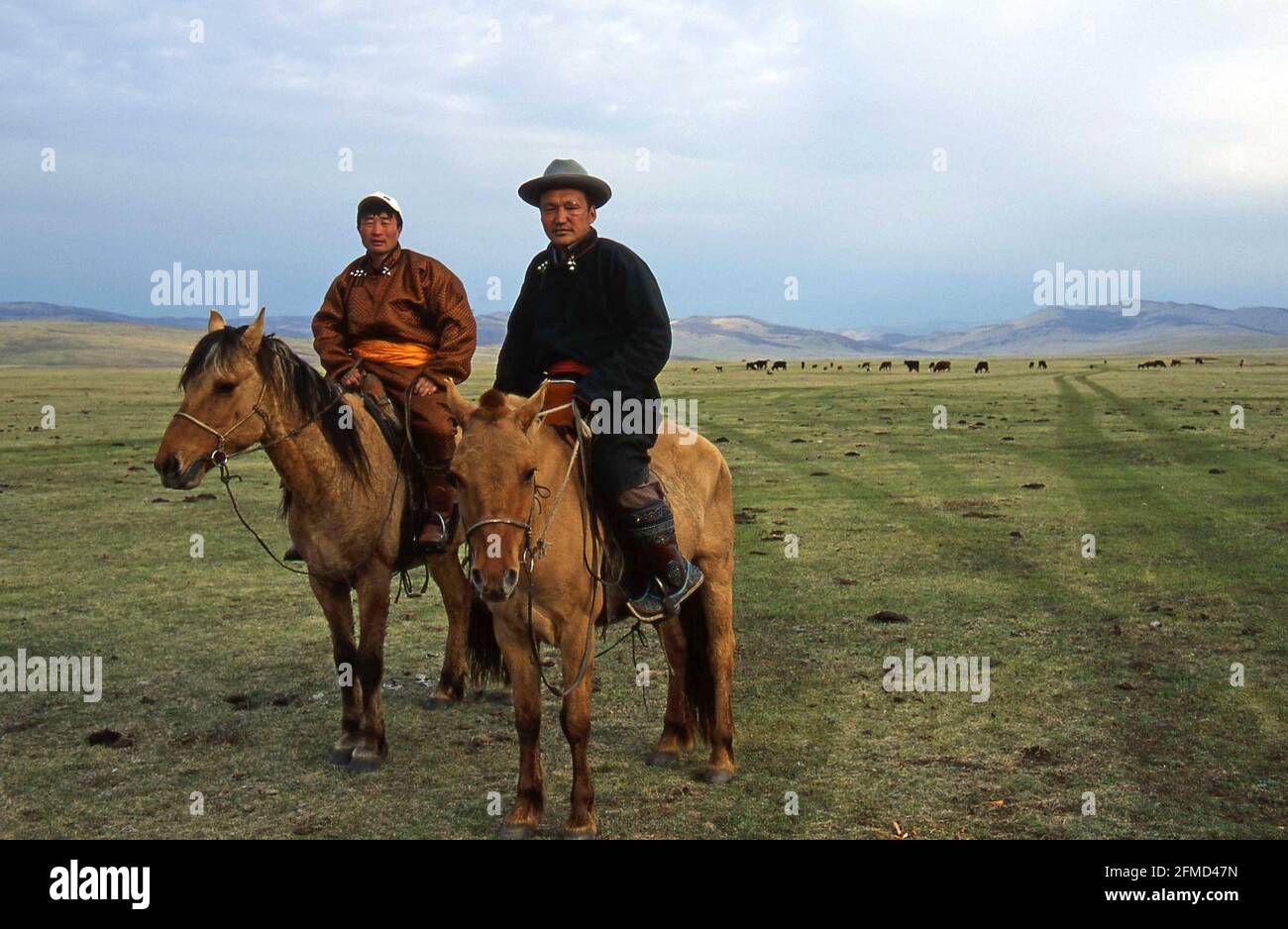Mongolian nomads on the move in the steppe Stock Photo - Alamy