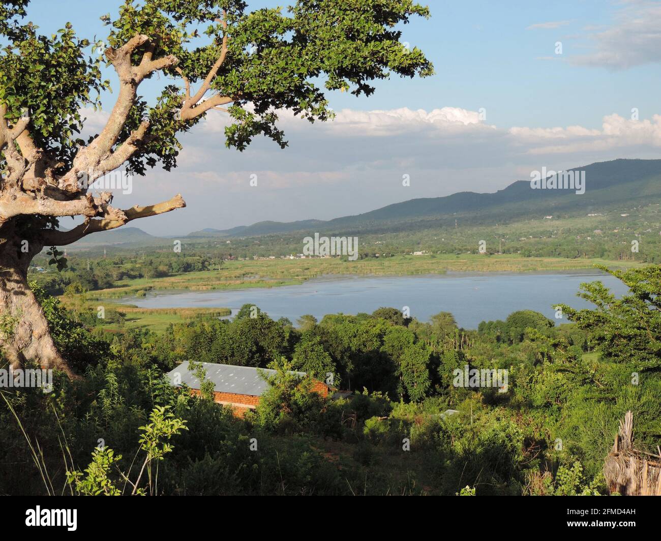 Savanna lake in Tanzania East Africa Stock Photo - Alamy