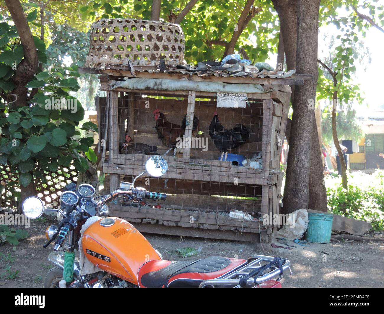 Chicken coop africa hi-res stock photography and images - Alamy