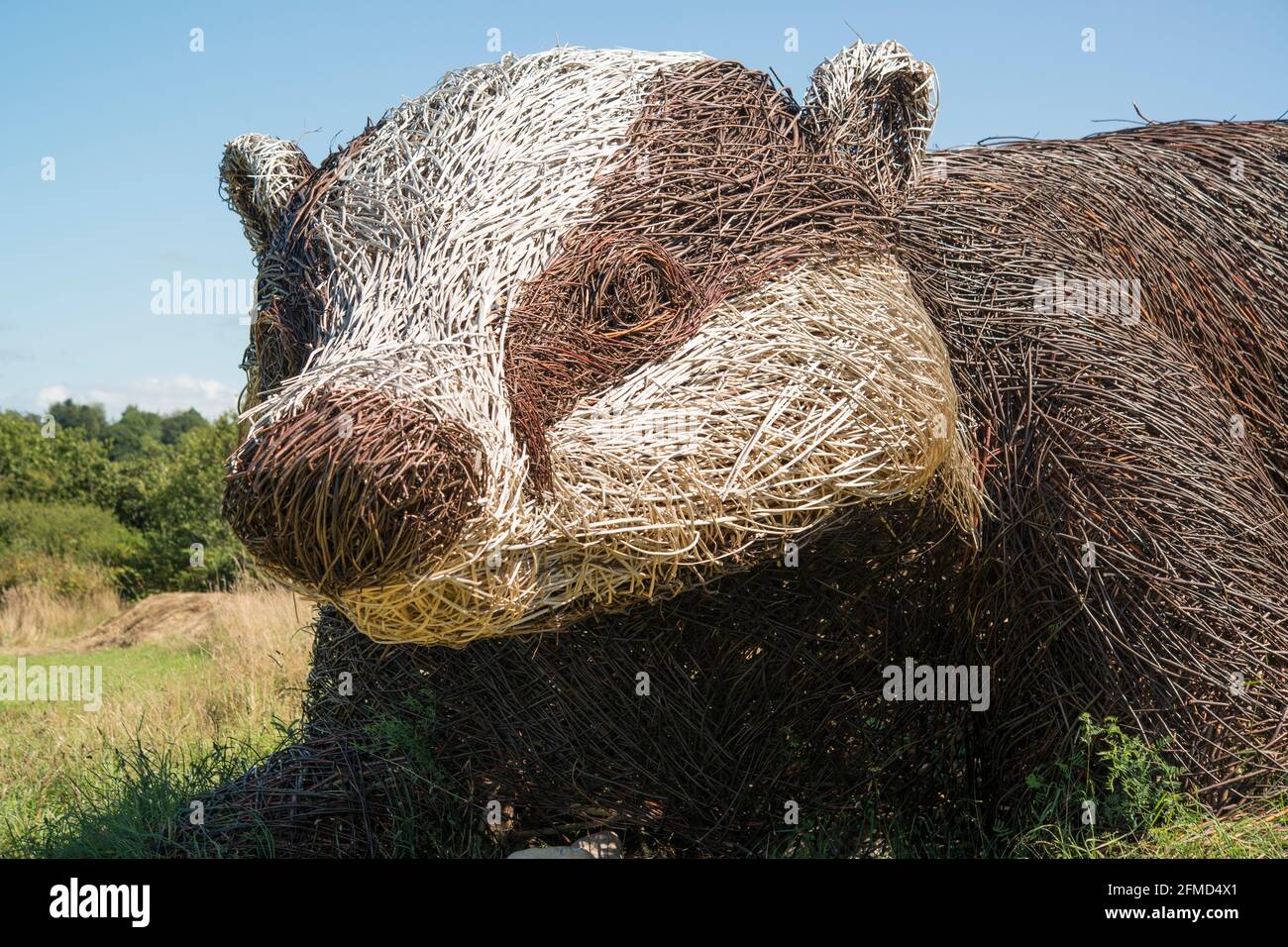 Badger willow sculpture, Teifi Marshes, Welsh Wildlife Centre ...