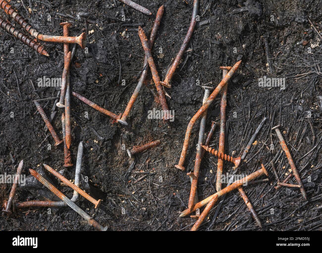 Old nails hi-res stock photography and images - Alamy