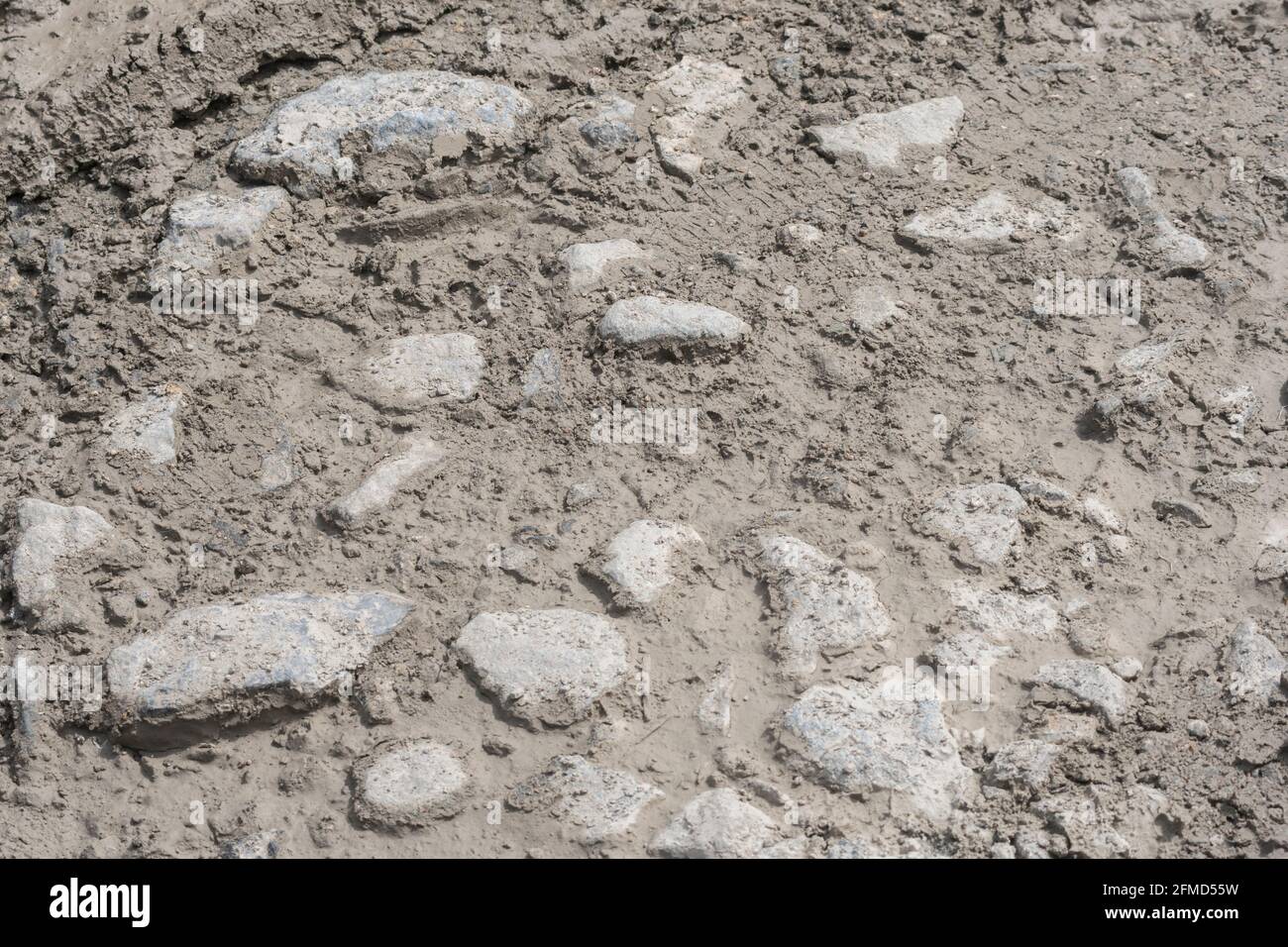 Stony soil texture hi-res stock photography and images - Alamy