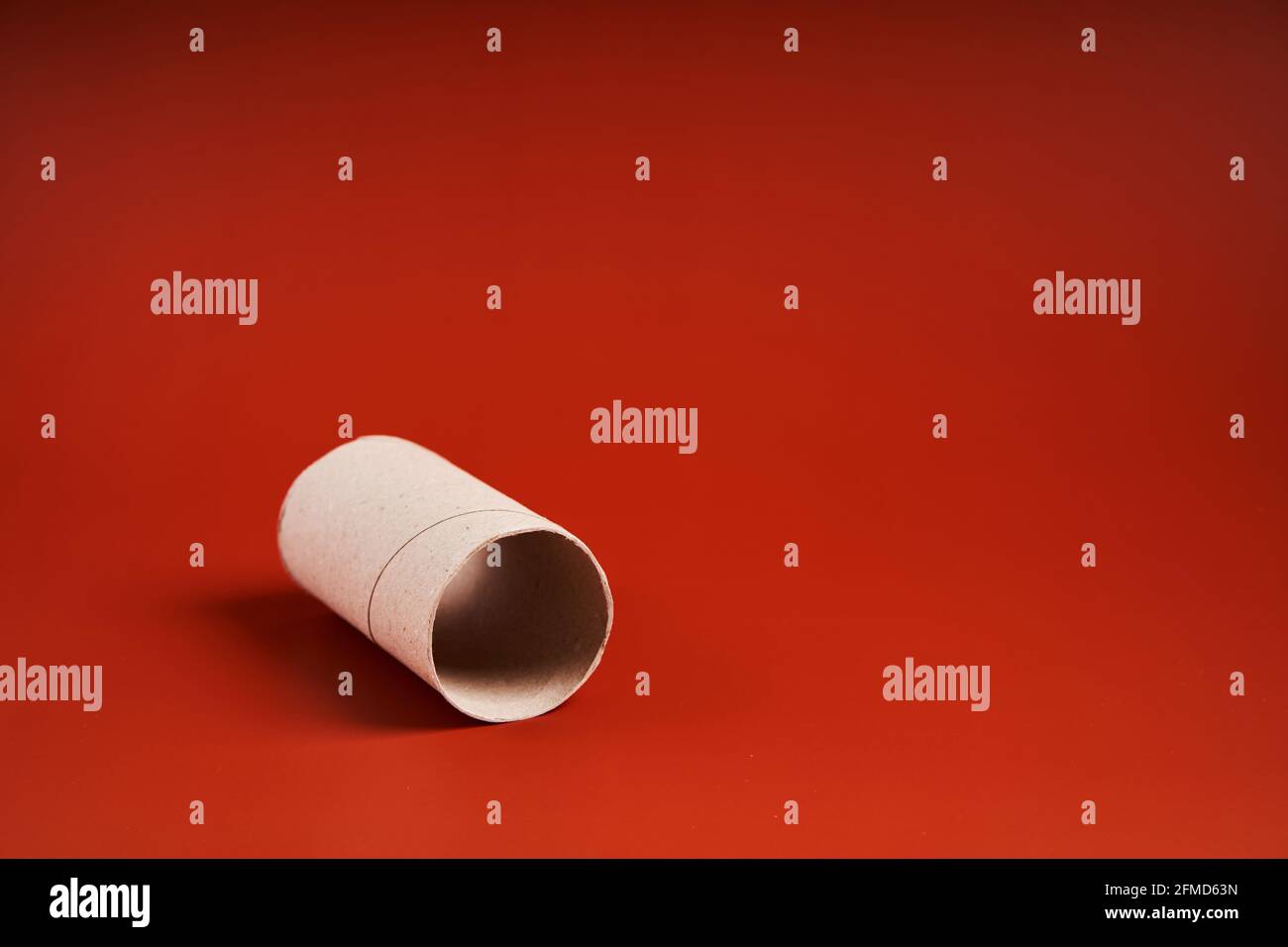 An empty cardboard toilet paper tube Stock Photo - Alamy