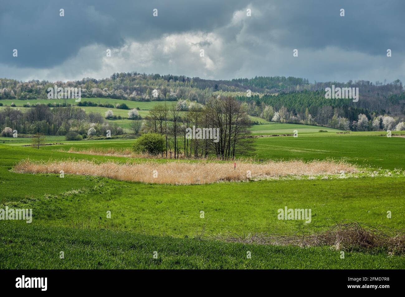 Spring rural landscape Lower Silesia Poland Stock Photo - Alamy