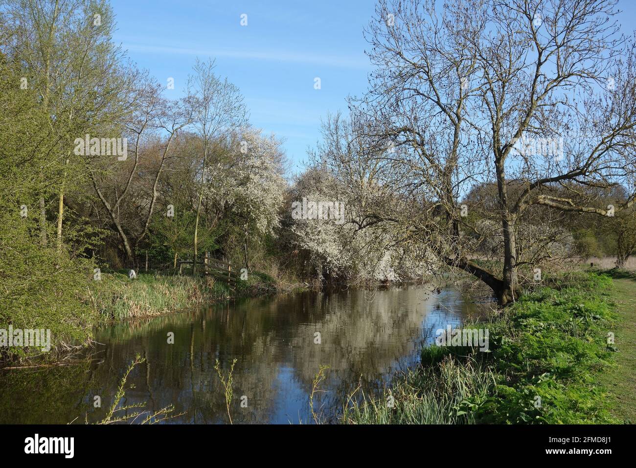 Witham country park hi-res stock photography and images - Alamy