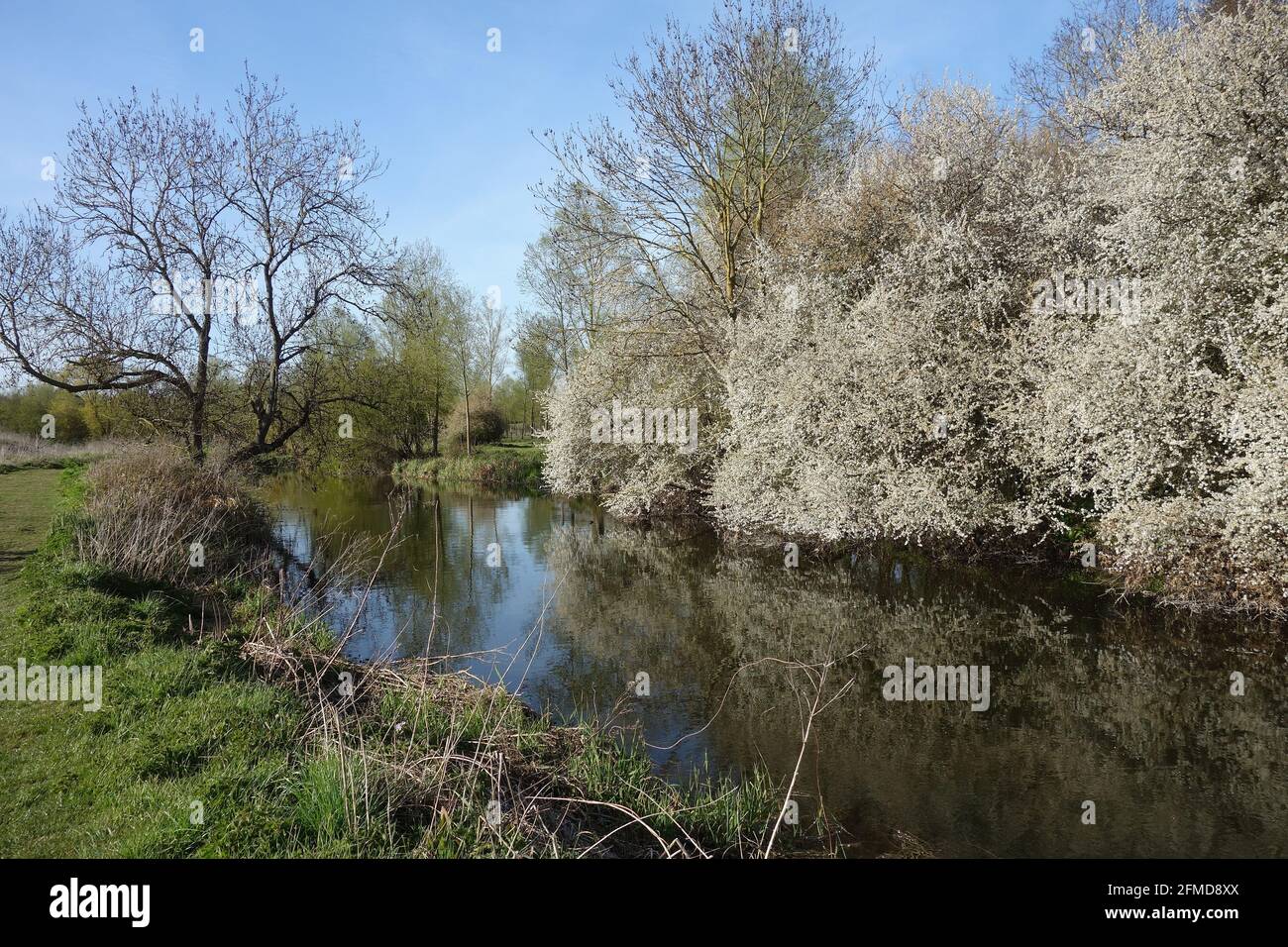 Witham country park hi-res stock photography and images - Alamy