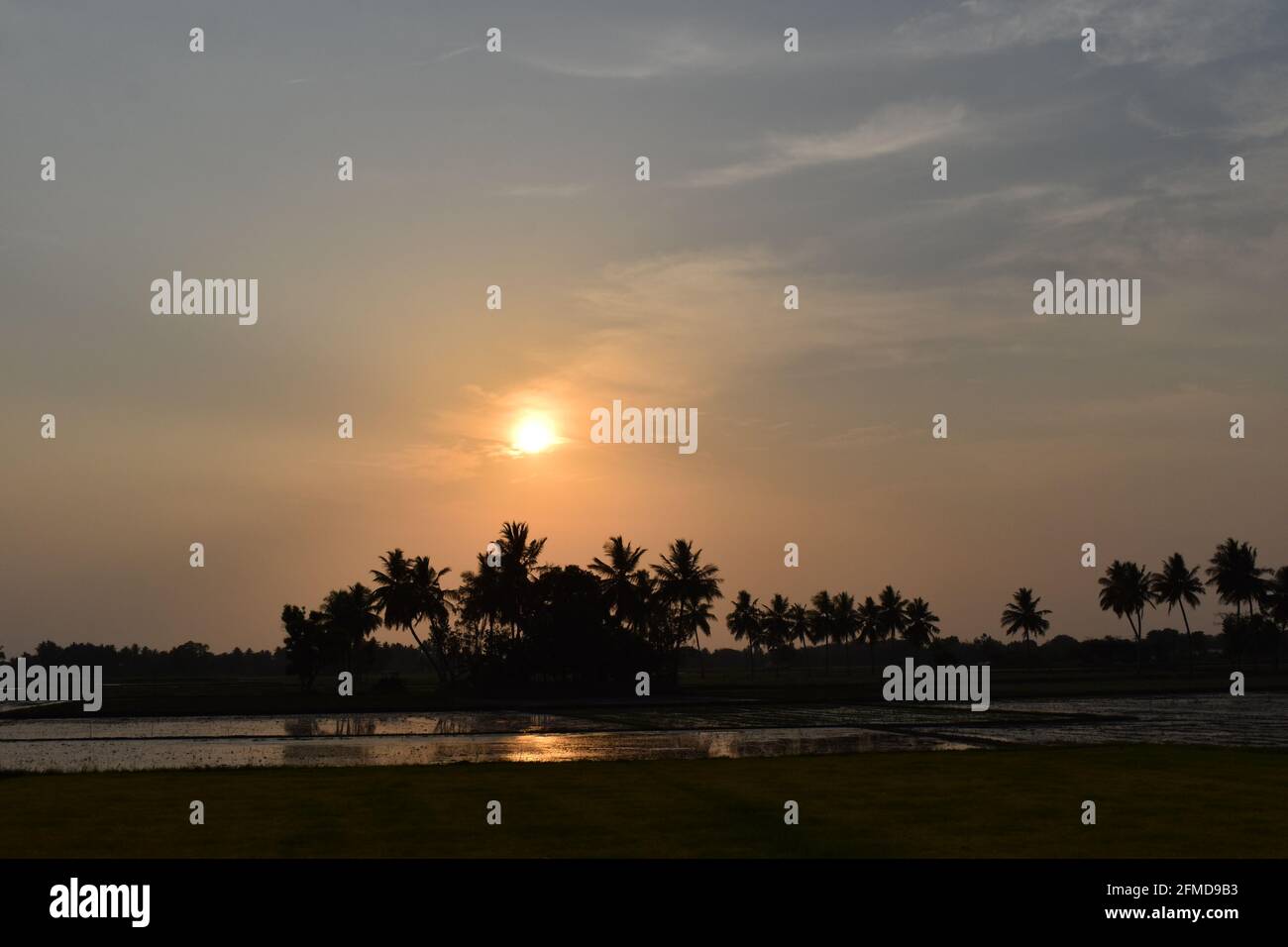 Munnar kerala sunset hi-res stock photography and images - Alamy