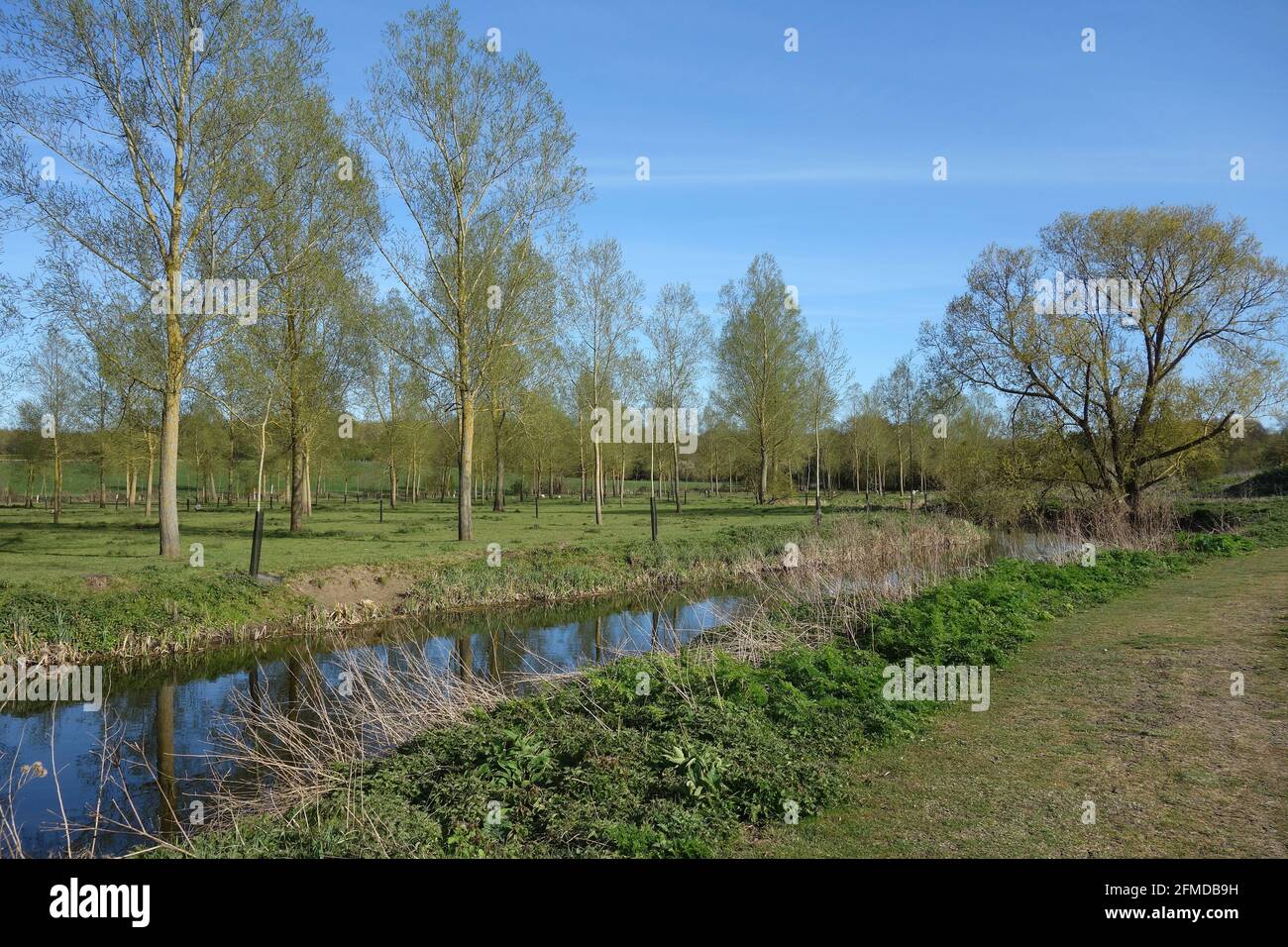 Witham country park hi-res stock photography and images - Alamy