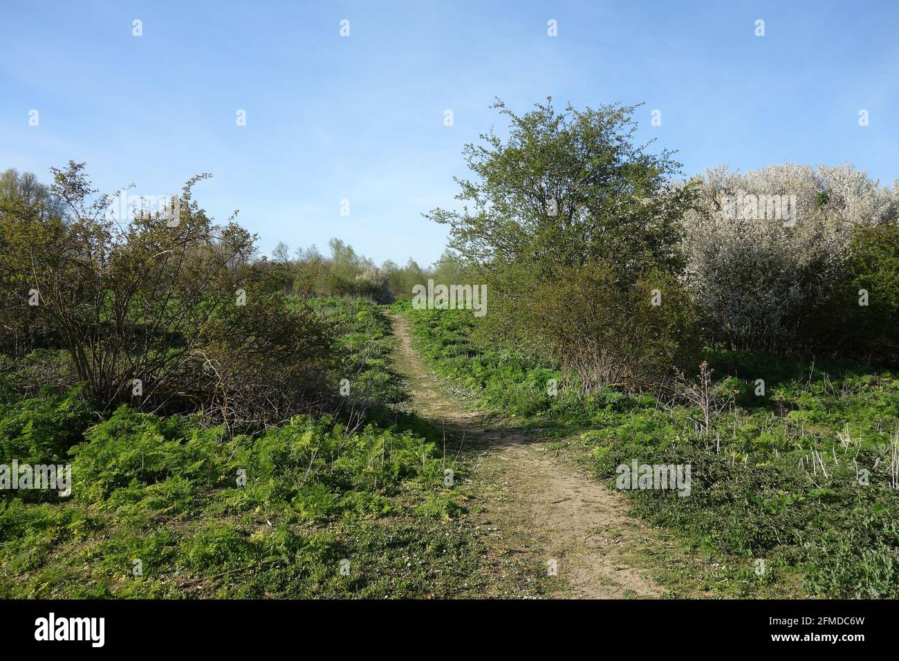 Witham country park hi-res stock photography and images - Alamy