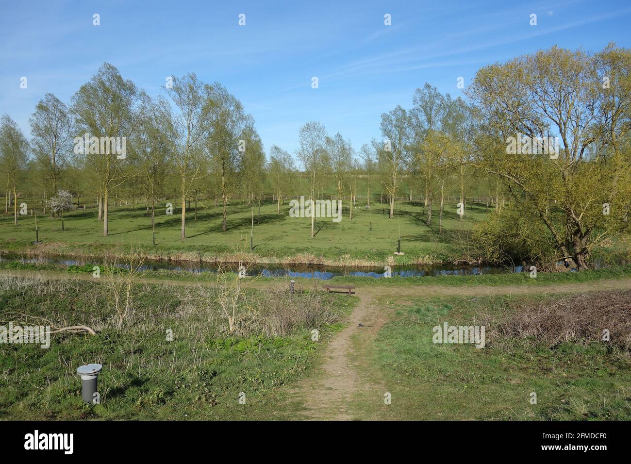 Witham country park hi-res stock photography and images - Alamy