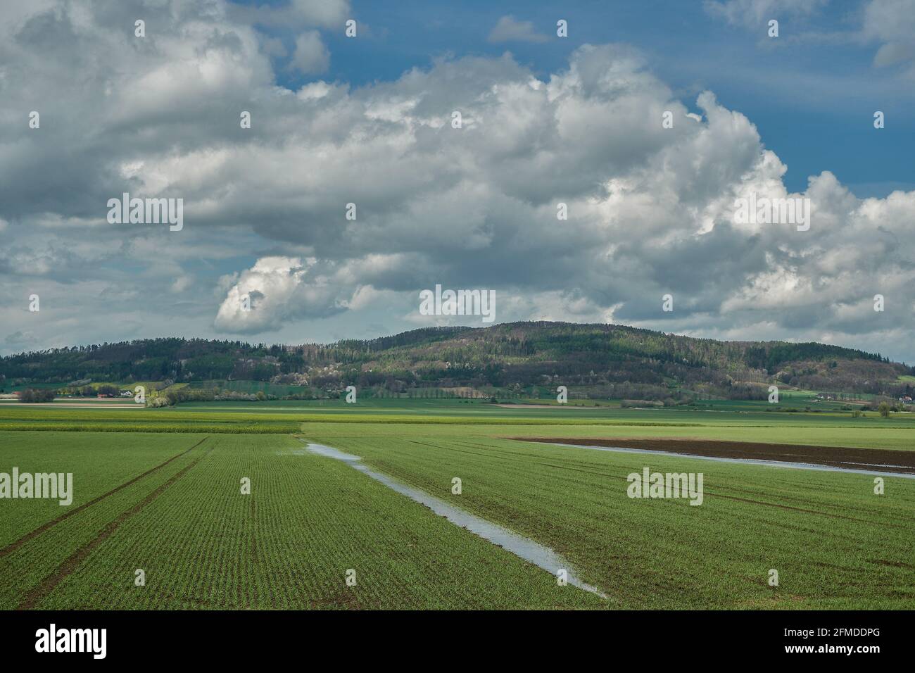 Spring rural landscape Lower Silesia Poland Stock Photo - Alamy