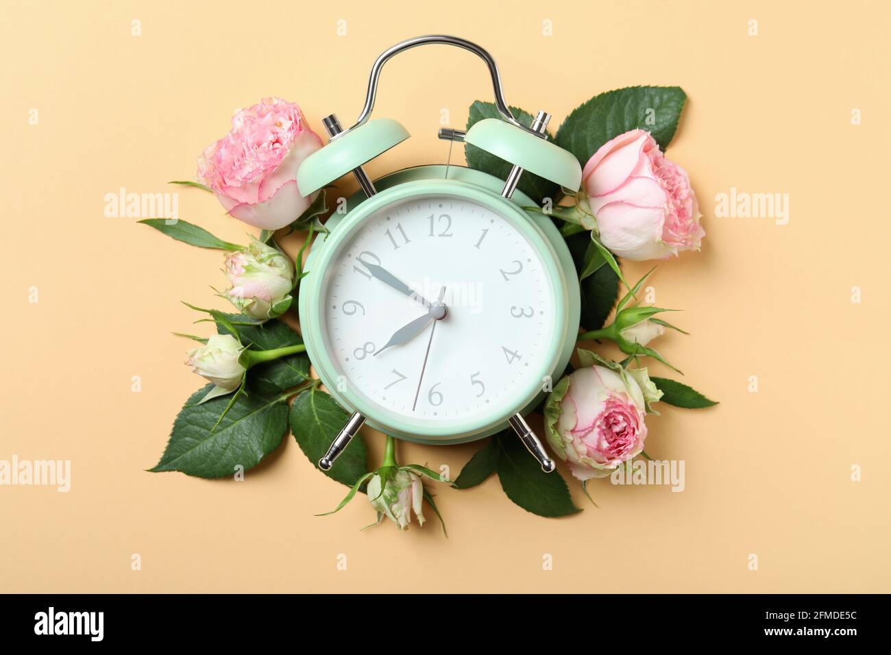 Roses and alarm clock in beige background Stock Photo - Alamy