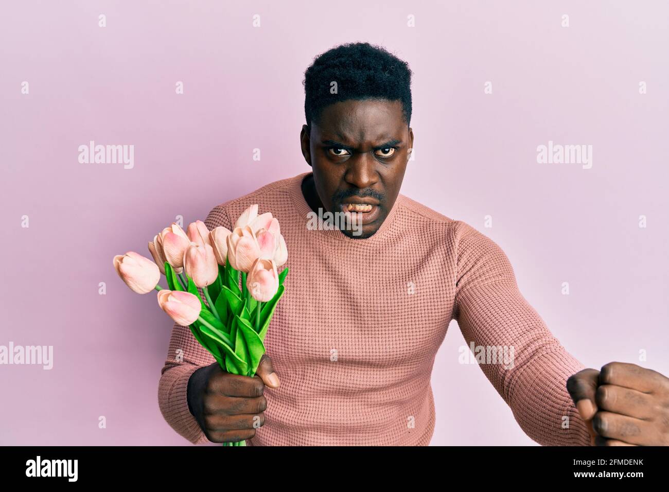 Handsome black man holding bouquet of pink tulips flowers annoyed and ...