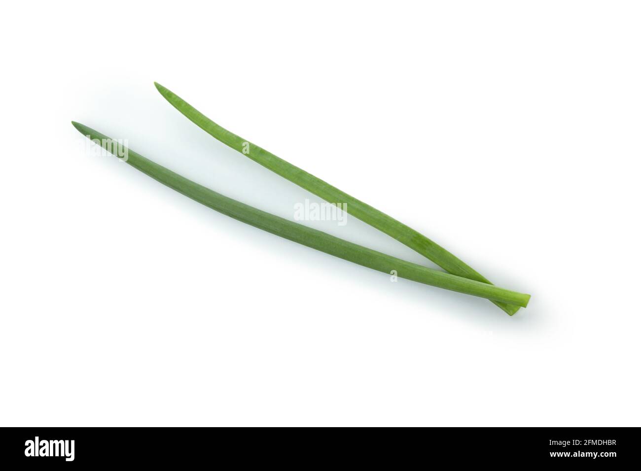 Fresh green onion isolated on white background Stock Photo - Alamy