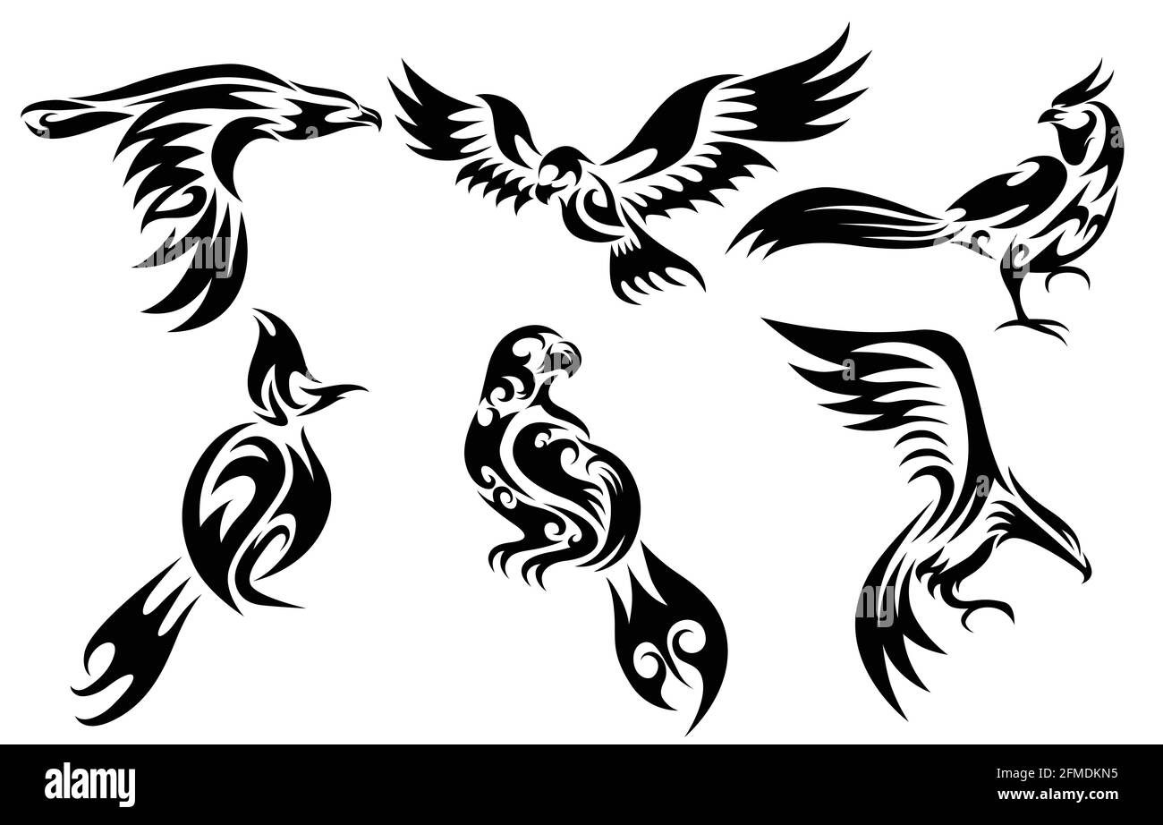 Set of six vector images of various birds such as eagle hawk pheasant ...