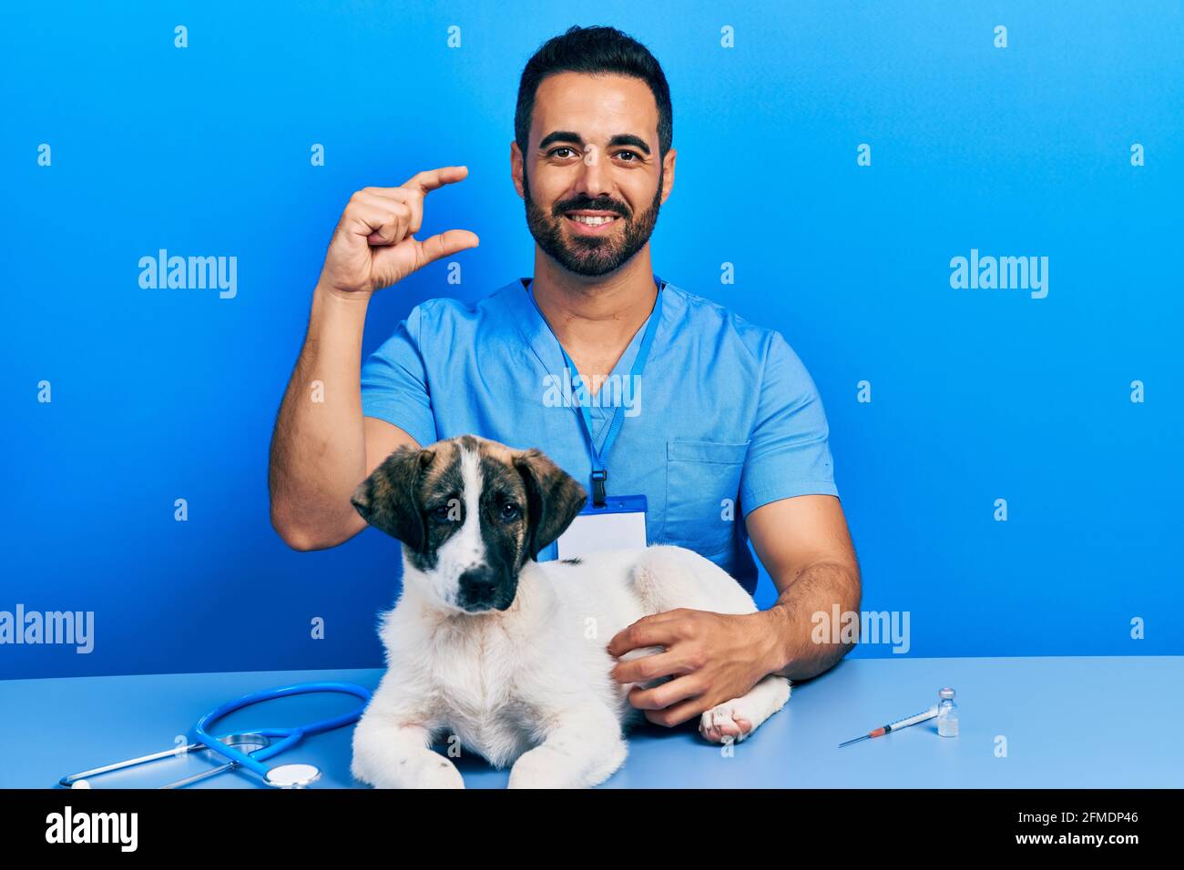 Veterinarian and dog and scale hi-res stock photography and images - Alamy