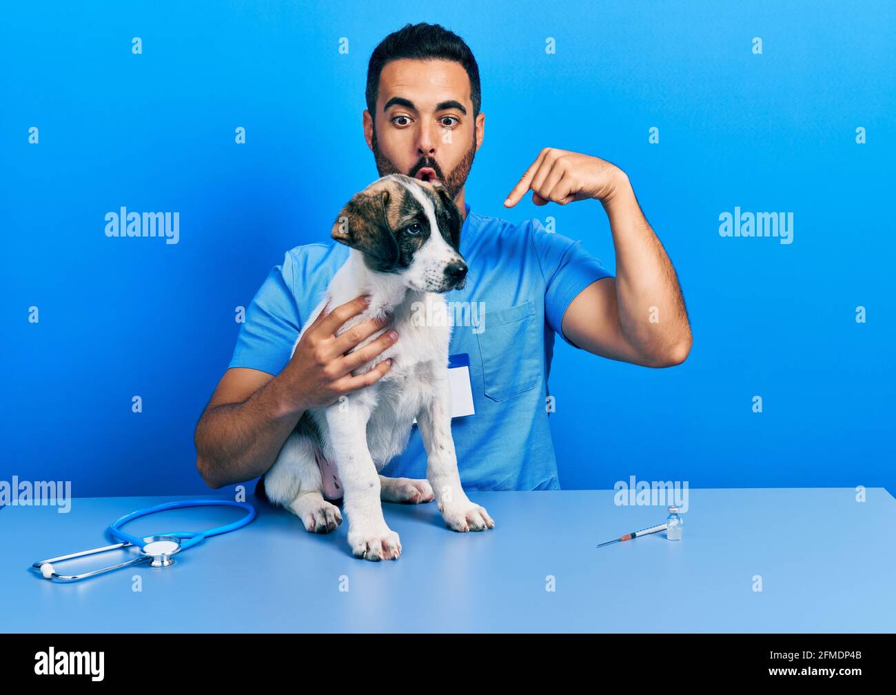 Handsome hispanic veterinary man with beard checking dog health ...
