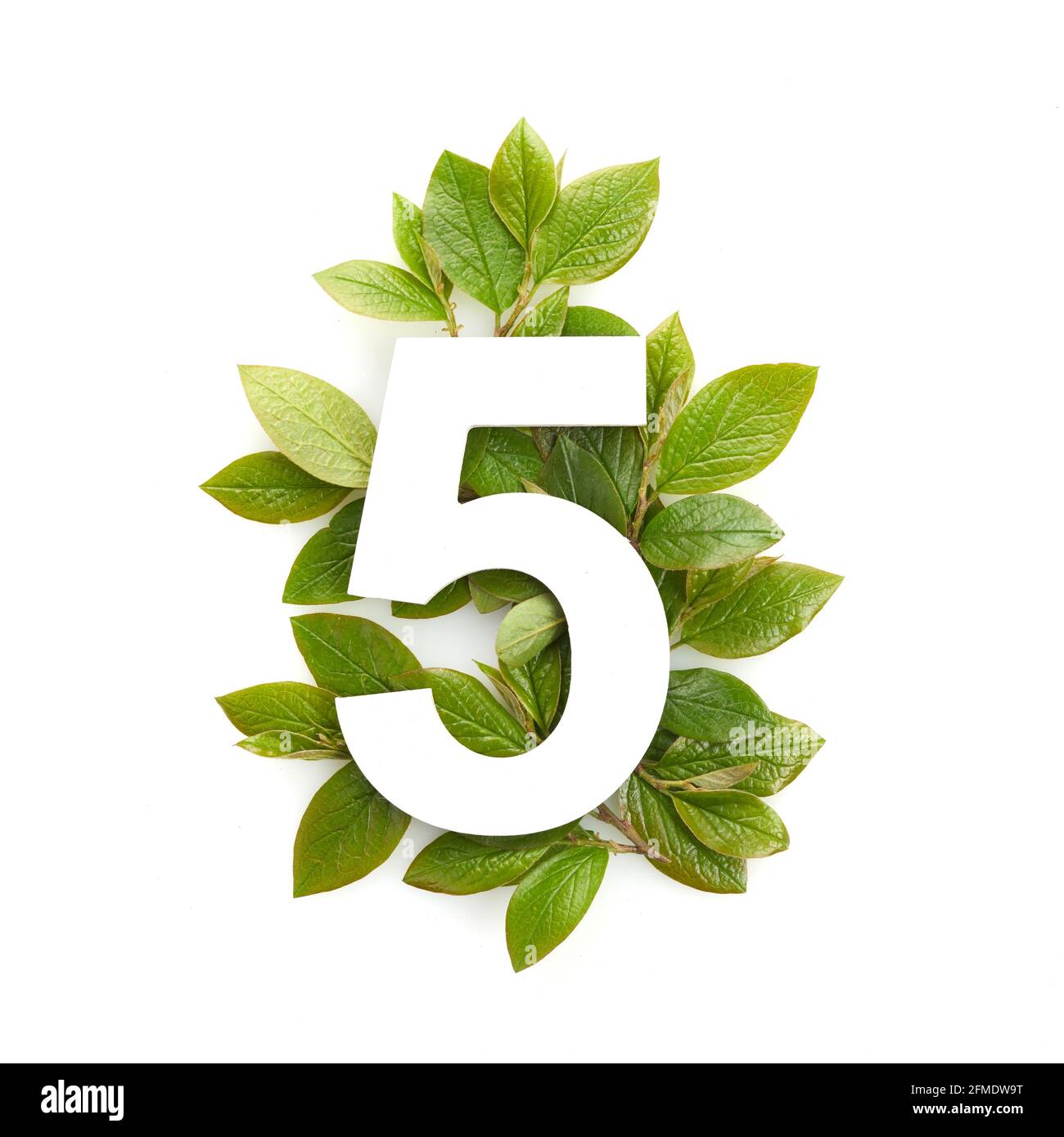 Number five shape with green leaves. Nature concept. Flat lay. Top view ...