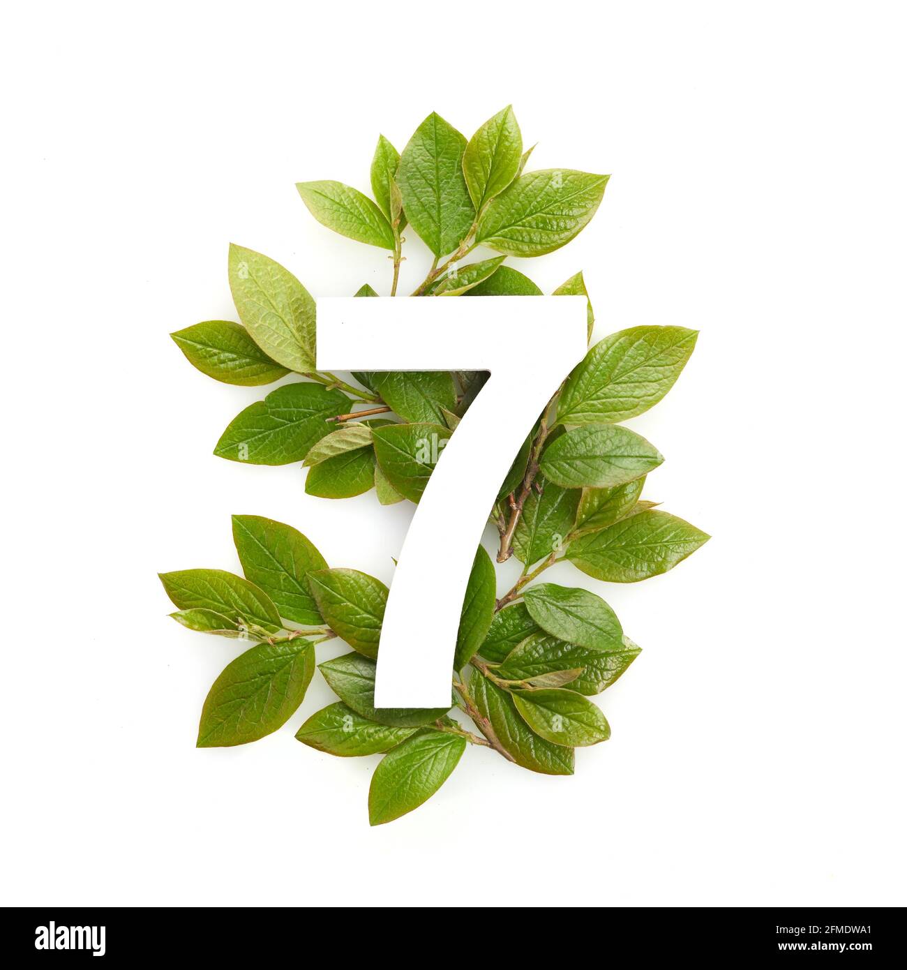 Number seven shape with green leaves. Nature concept. Flat lay. Top ...