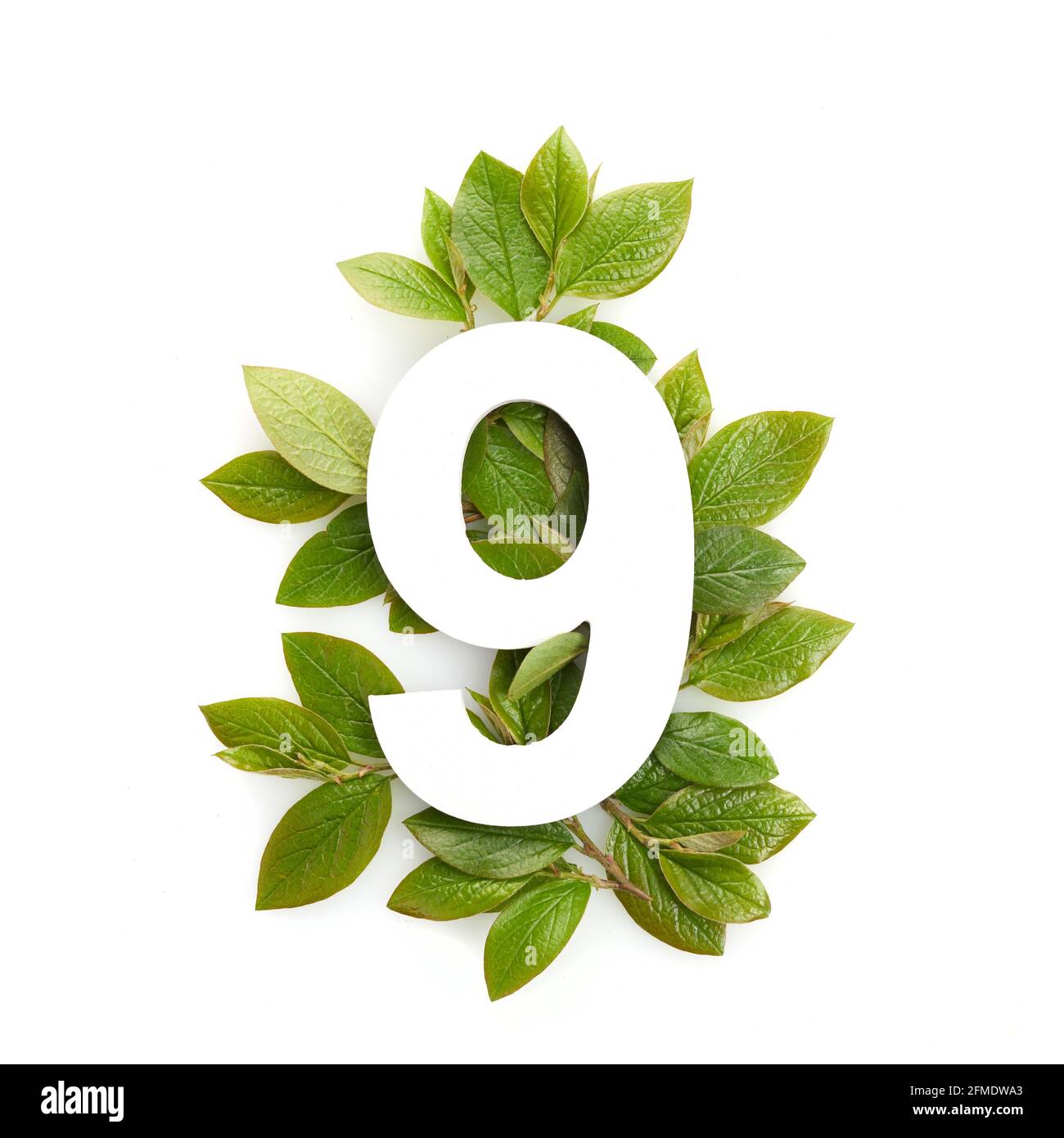 Number nine shape with green leaves. Nature concept. Flat lay. Top view ...